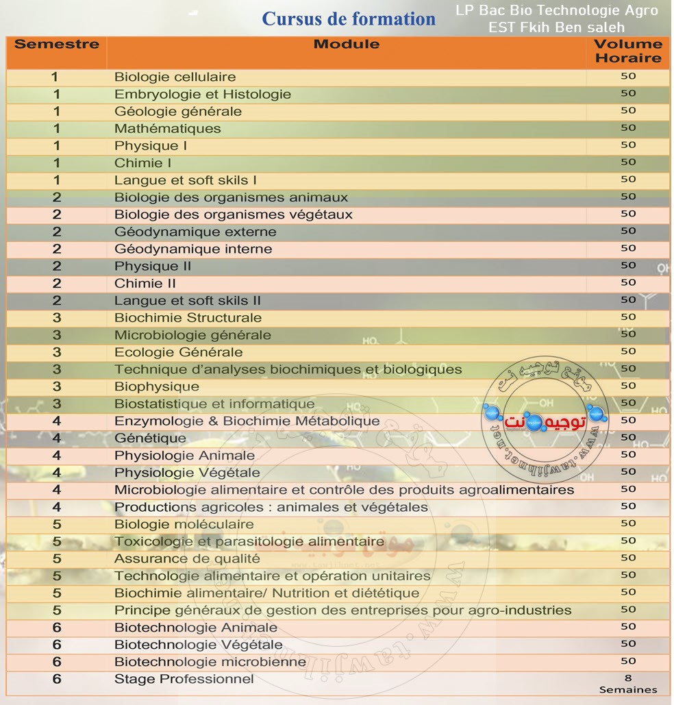 EST Fkih Ben Saleh LP Biotechnologie Agroalimentaire 2023 | tawjihnet