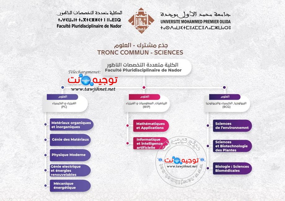 Inscription Université Facultés UMP Oujda 2024 2025 | tawjihnet